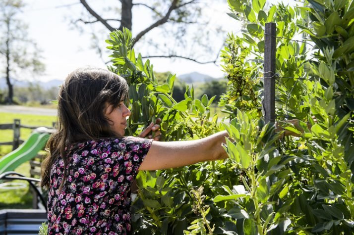 MUSICIAN ANDREW MORRIS AND AMANDA CALLAN OF CHURCH FARM GENERAL STORE ...