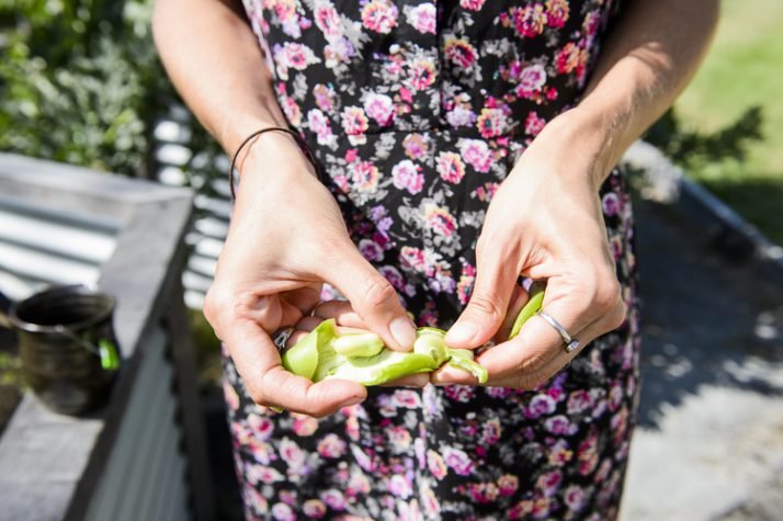MUSICIAN ANDREW MORRIS AND AMANDA CALLAN OF CHURCH FARM GENERAL STORE ...